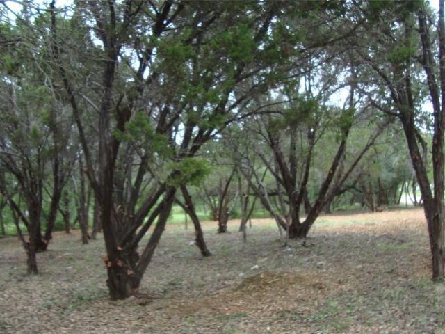 11112, 11106 Travis Dr