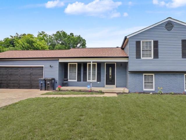 11112 Fruitwood Drive