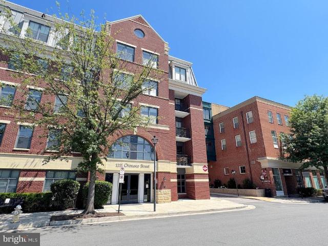 1111 Oronoco Street # 429