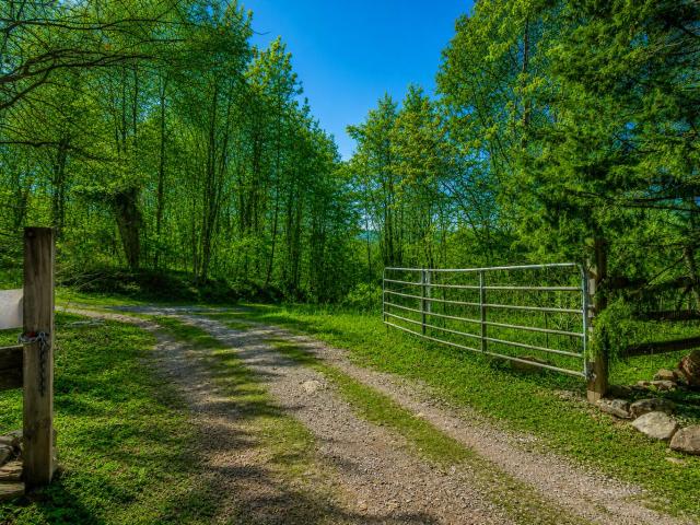 1111 Ditch Gap Road