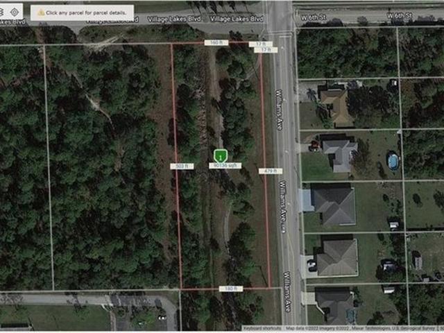 1111 Village Lakes Blvd Lot 0, Lehigh Acres, FL 33972