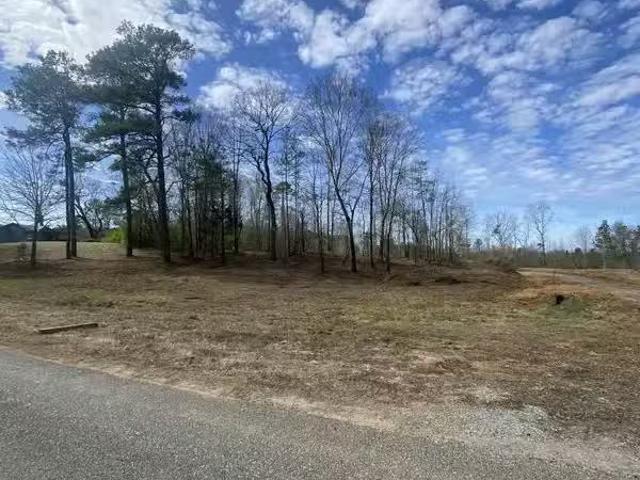 1111 WESTSIDE ROAD # 1111, BROOKWOOD, AL 35444 Vacant Land For.