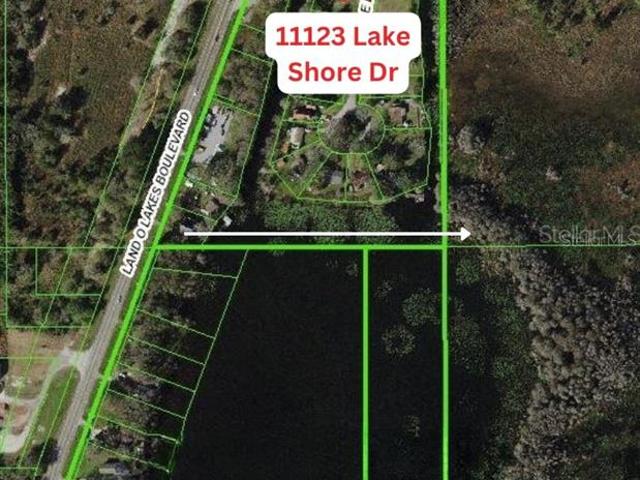 11123 Lake Shore Dr, Land O Lakes, FL 34637 | MLS #TB8356