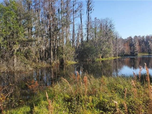 11124 Lake Shore Dr, Land O Lakes, FL 34637 | MLS #TB8356