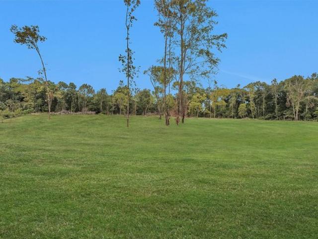 11125 Womack Cemetery Rd, Montgomery, TX 77316