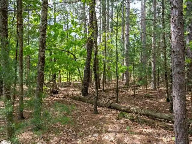 1112 Evergreen Court, Grand Marsh, WI 53936 644138734
