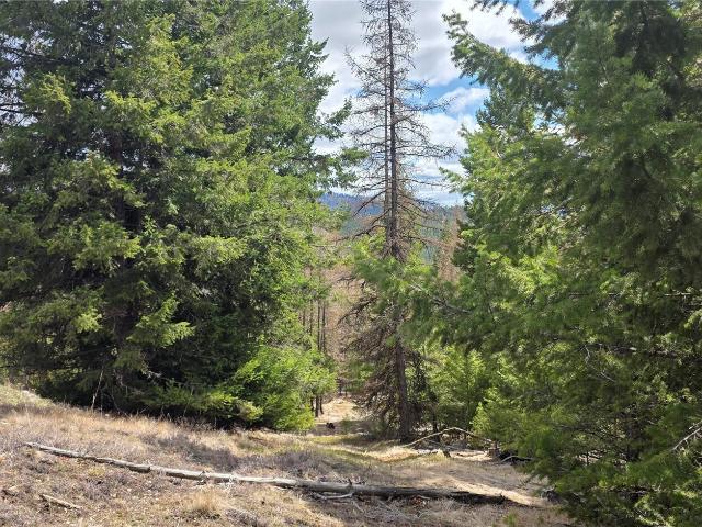 1112 TBD Bandtman Creek Rd