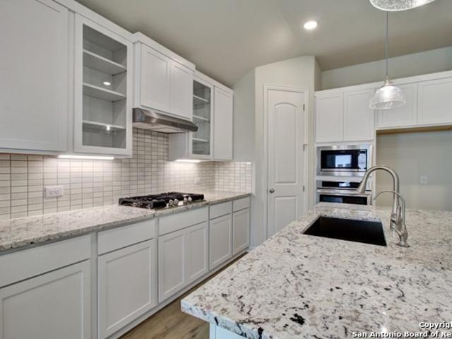 11135 Fruit Dove Trail