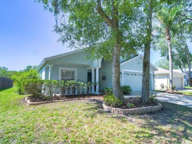 11135 Indian Oaks Dr, Tampa, FL 33625