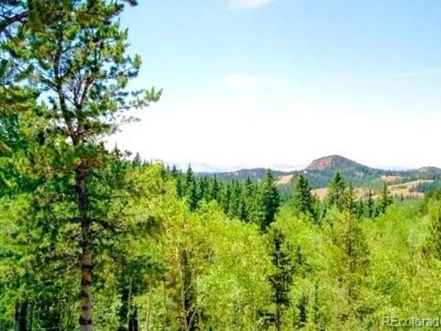 111 CO 67, Cripple Creek, CO 80813