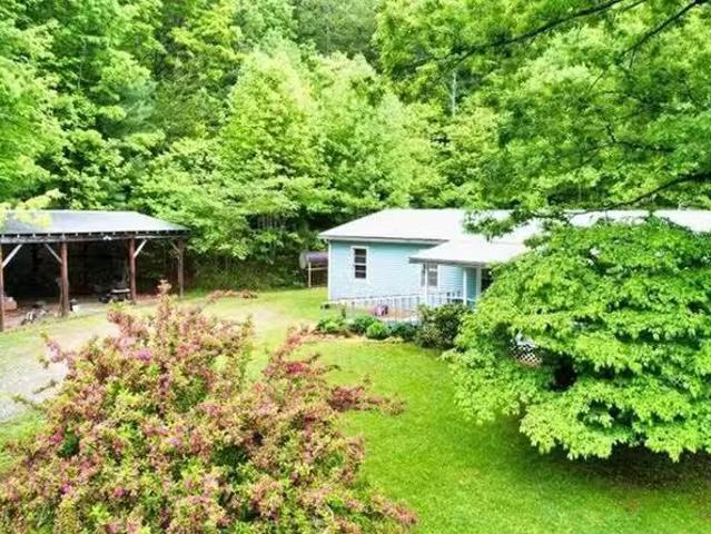 111 Chestnut Gap Rd, Blue Ridge, GA 30513 MLS 7387829