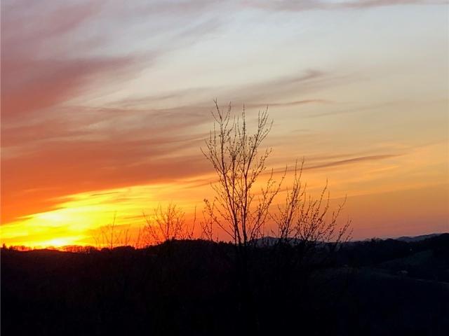 111 Aster Trail