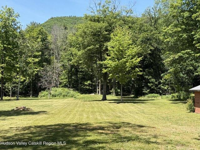 111 Bogart Rd, Palenville, NY 12463