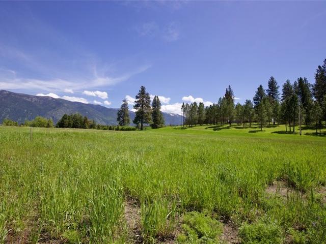 111 Badrock Ct, Columbia Falls, MT 59912
