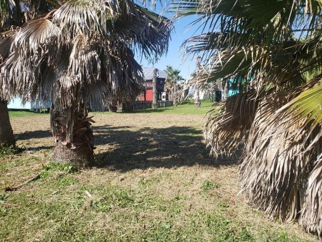 111 Bud Drive