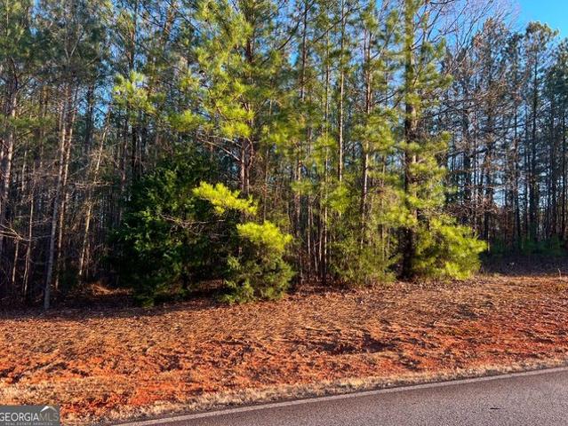 111 Garden Dr, Forsyth, GA 31029