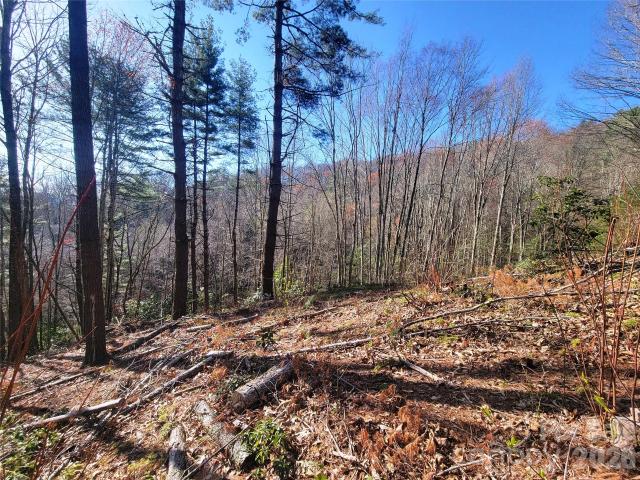 111 Digging Seng Trail # 138