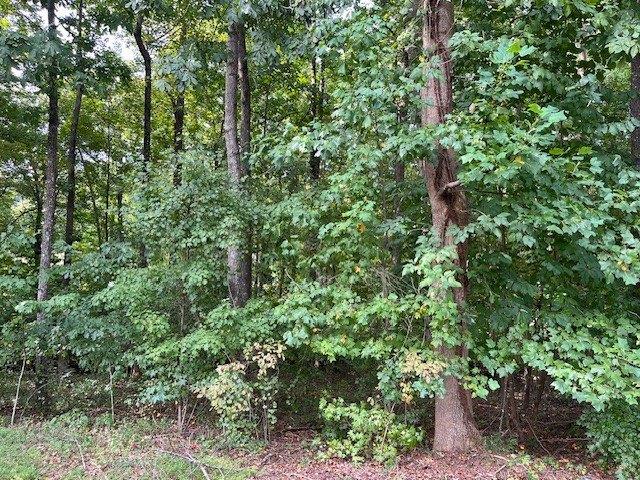 111 Falls Dr, Westminster, SC 29693