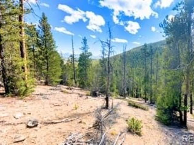 111 Kevin Gulch Rd, Leadville, CO 80461