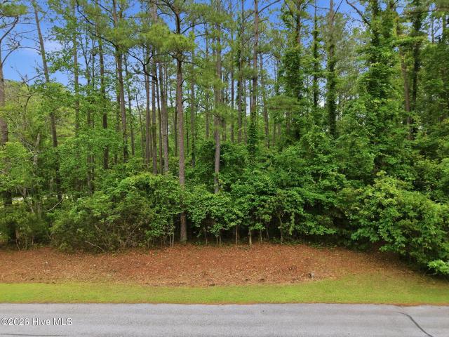 111 Live Oak Lane