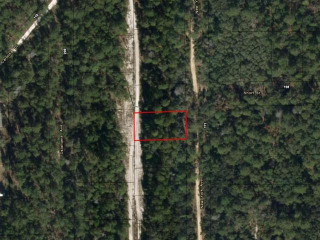 111 New York Ave, Satsuma, FL 32189 | MLS #F10521
