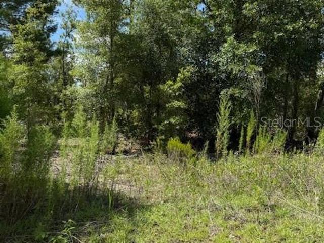 111 S Dakota St, Hawthorne, FL 32640 | MLS #OM706629
