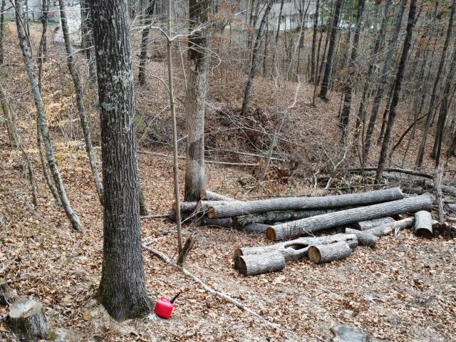 111 Scenic Drive