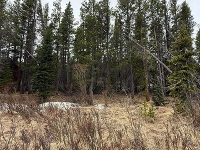 111 Silver Creek Rd, Idaho Springs, CO 80452