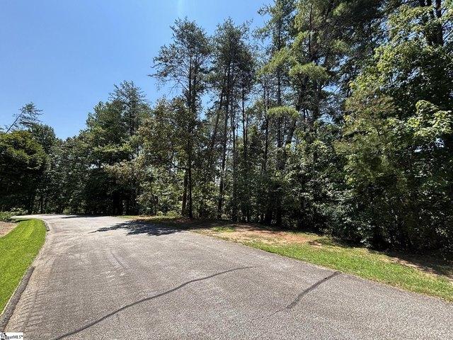 111 Sweetshrub Way, Sunset, SC 29685
