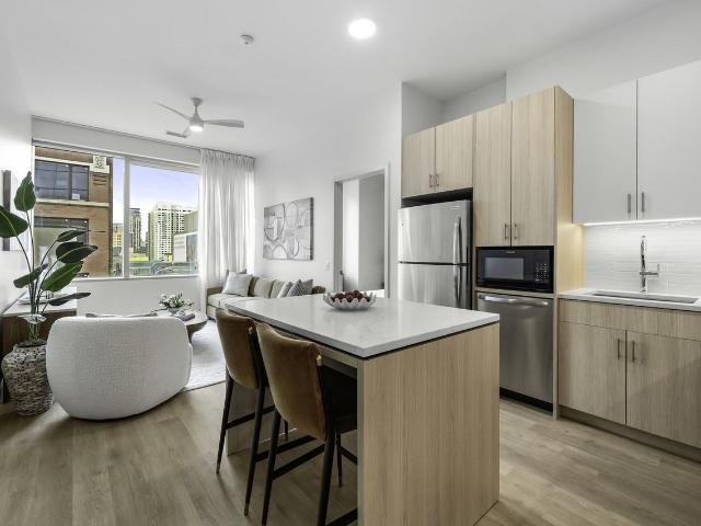 111 Point Studio Apartment for Rent at 111 W Illinois St, Chicago, IL 60654 Near North Side
