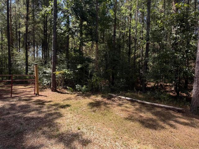 111 Progress Trail
