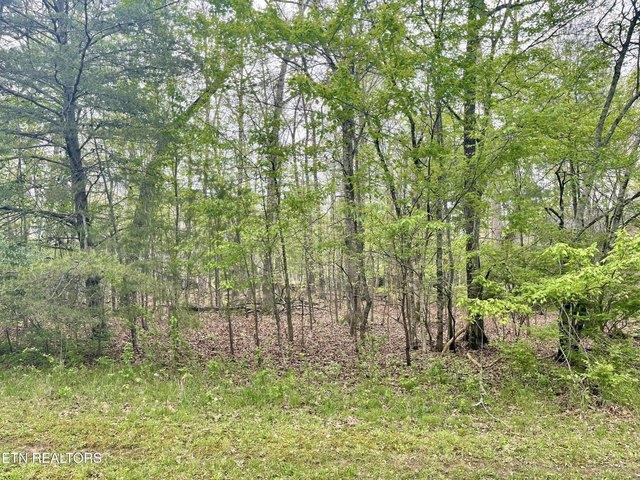 111 Rutgers Cir, Crossville, TN 38558