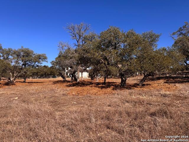 111 Woodland