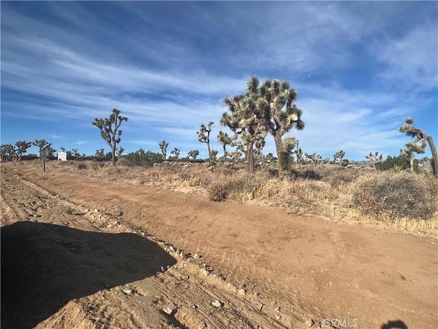 111 Wallaby St, Yucca Valley, CA 92284 | MLS #JT23143