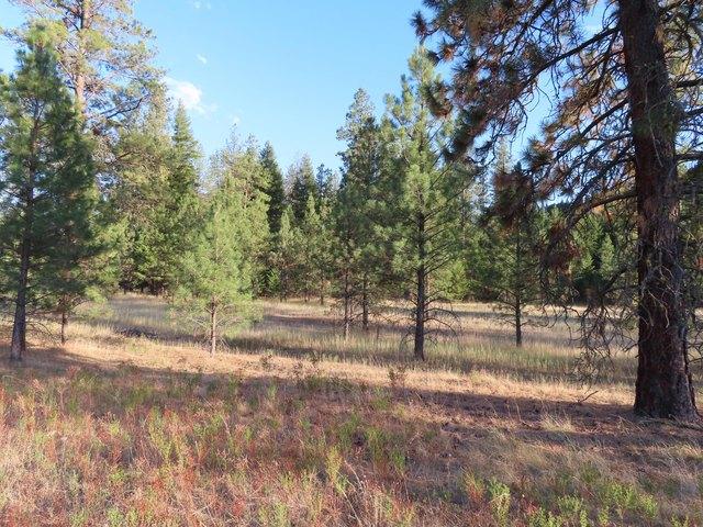111 Toroda Creek Rd, Curlew, WA 99118
