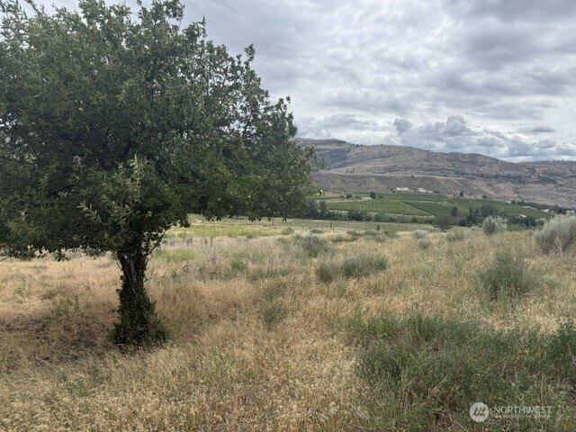 111 Tbd Highway 7, Tonasket, WA 98855