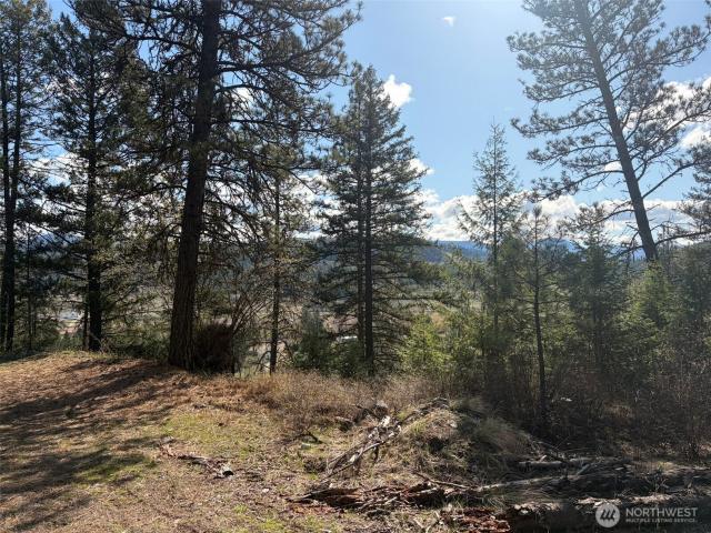 111 TBD West Curlew Lake Road
