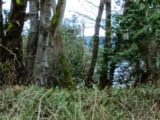 111M Crest Pl, Hat Island, WA 98206