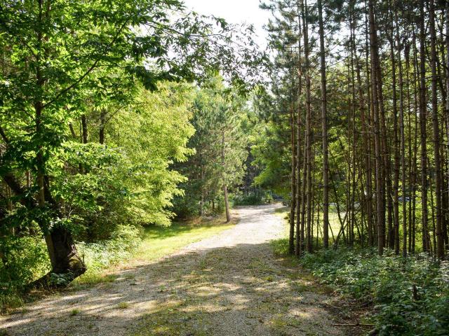 11241 Marilla Road