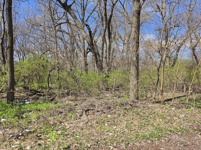 1124 Mount St, Gary, IN 46406