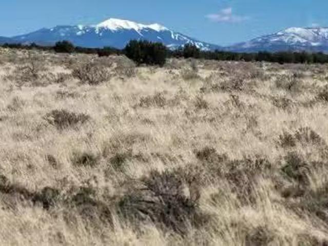 1124 N Grand Canyon Ranches Rd #4, Williams, AZ 86046 MLS 68.
