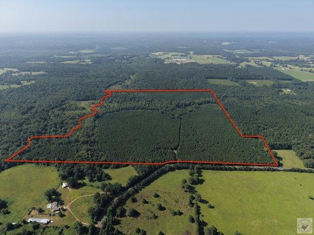 11254 FM 250, Naples, TX 75568