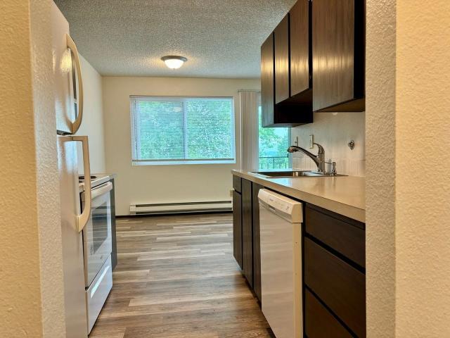 11255 Greenwood Ave N 2 Bedroom Apartment for Rent at 11255 Greenwood Ave N, Seattle, WA 98133 Broadview