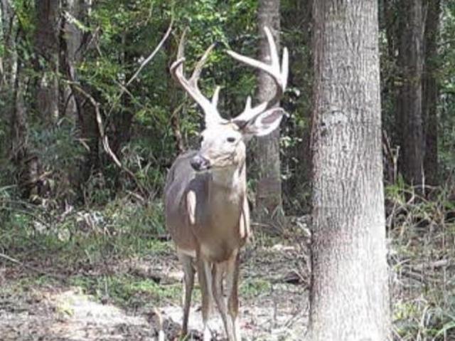 11255 Old Port Gibson Rd, Hermanville, MS 39086