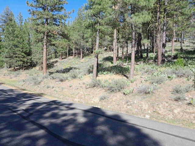 1125 Cloud Painter Lot 124, Portola, CA 96122