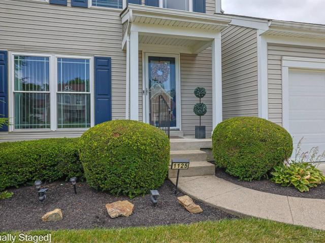 1125 Timberland Drive