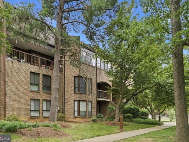 11260 Chestnut Grove Square # 337