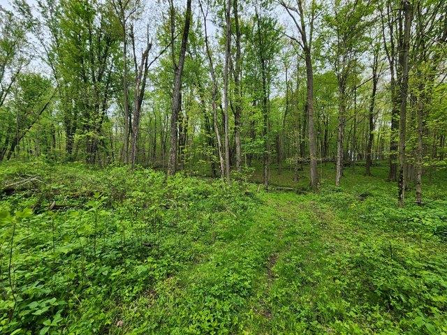 11265 Teasdale Lake St, Constantine, MI 49042