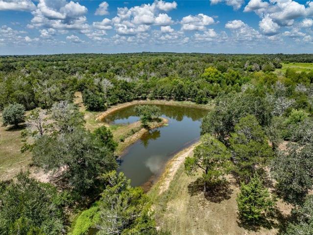 1126 Abel Rd, New Ulm, TX 78950