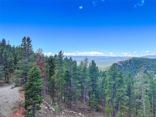 11275 Bear Run Trail
